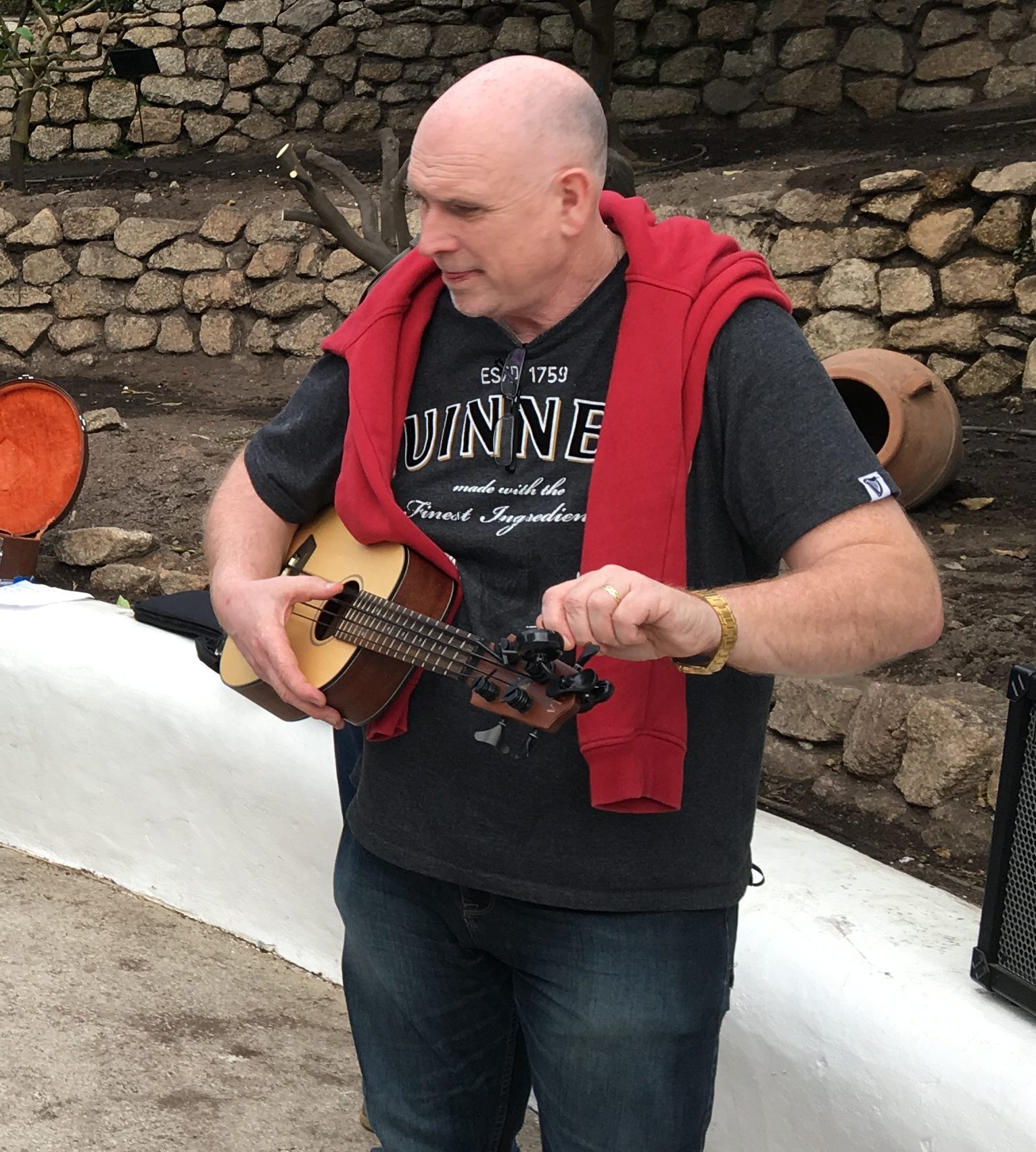 The Pics – The Countrymen