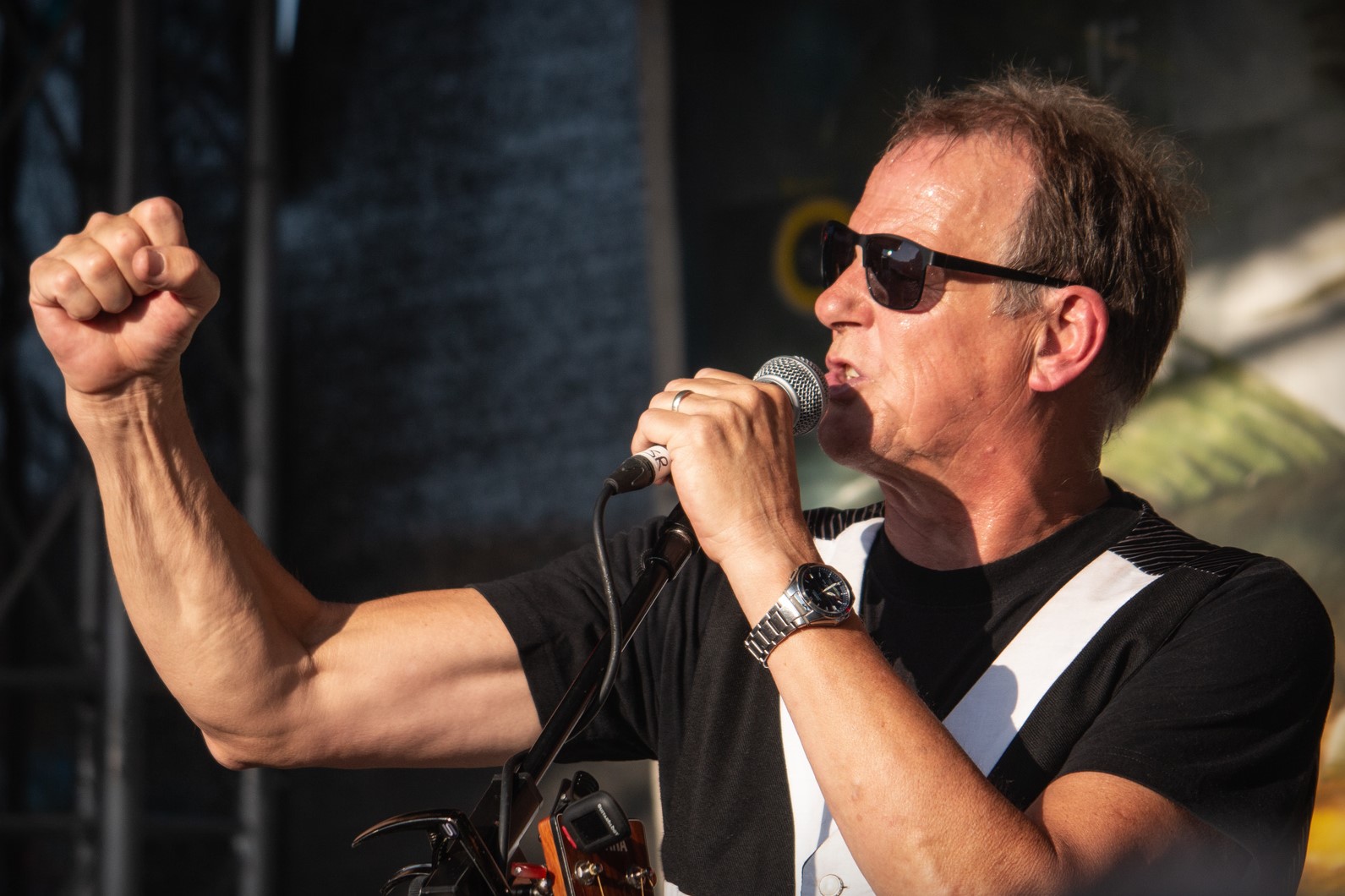 The Band – The Countrymen